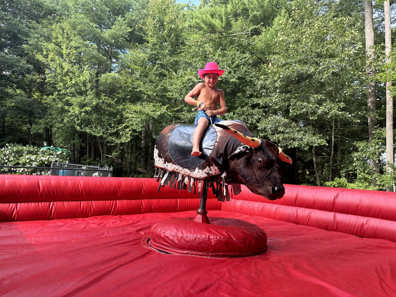 Mechanical Bull Parties - Mechanical Bull Rental Services in MA, RI, CT ...